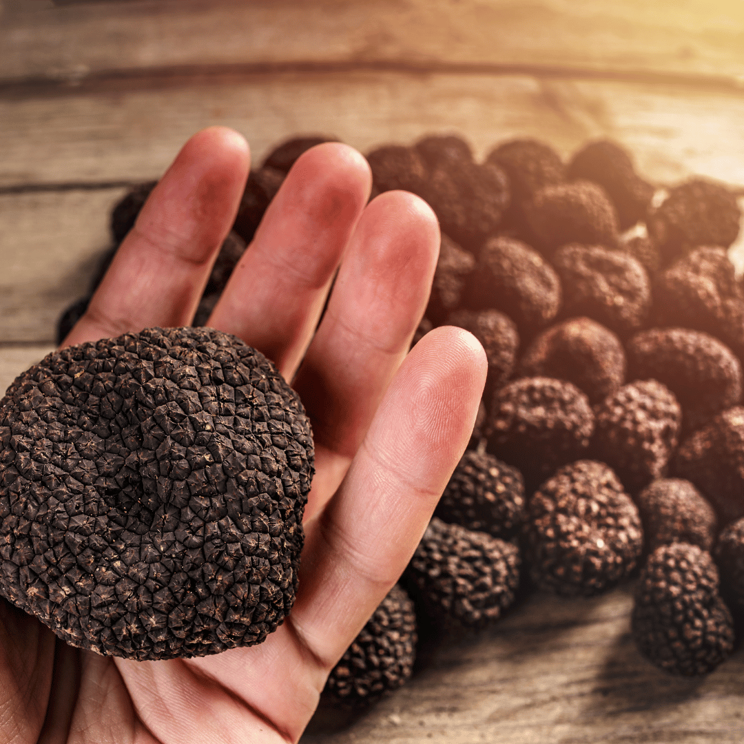 Truffles online sale | Fresh and preserved truffles | Special price 10 ...